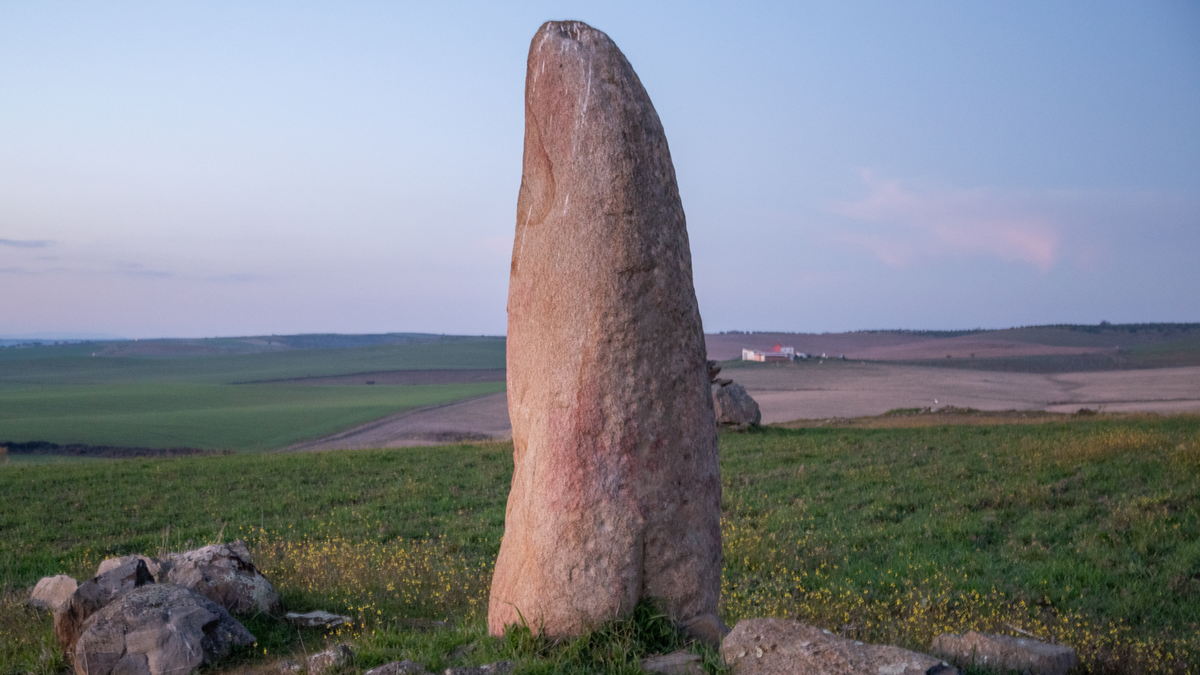 Building Project Menhir: A Vertical Case Made of Aluminum and Wood ...