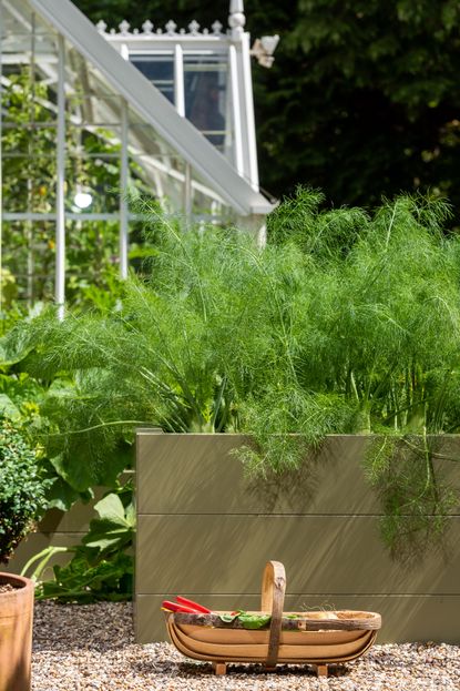 Modern vegetable garden ideas | Livingetc