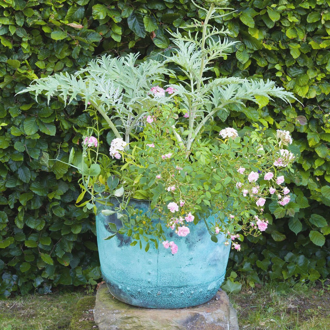 20 container garden ideas to add colour and personality | Ideal Home