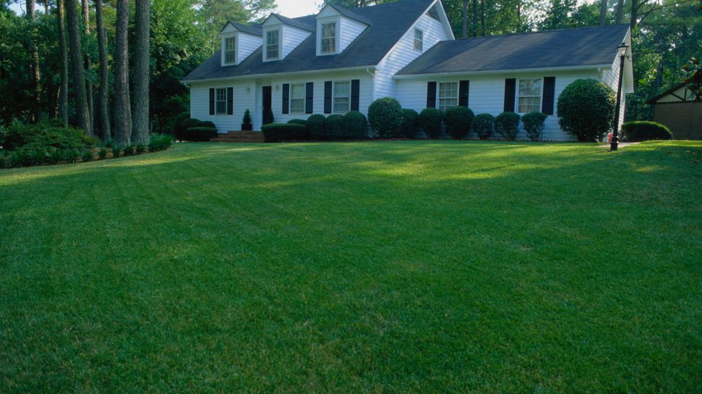 How to overseed a lawn: a guide to repairing damaged grass | Homes and ...