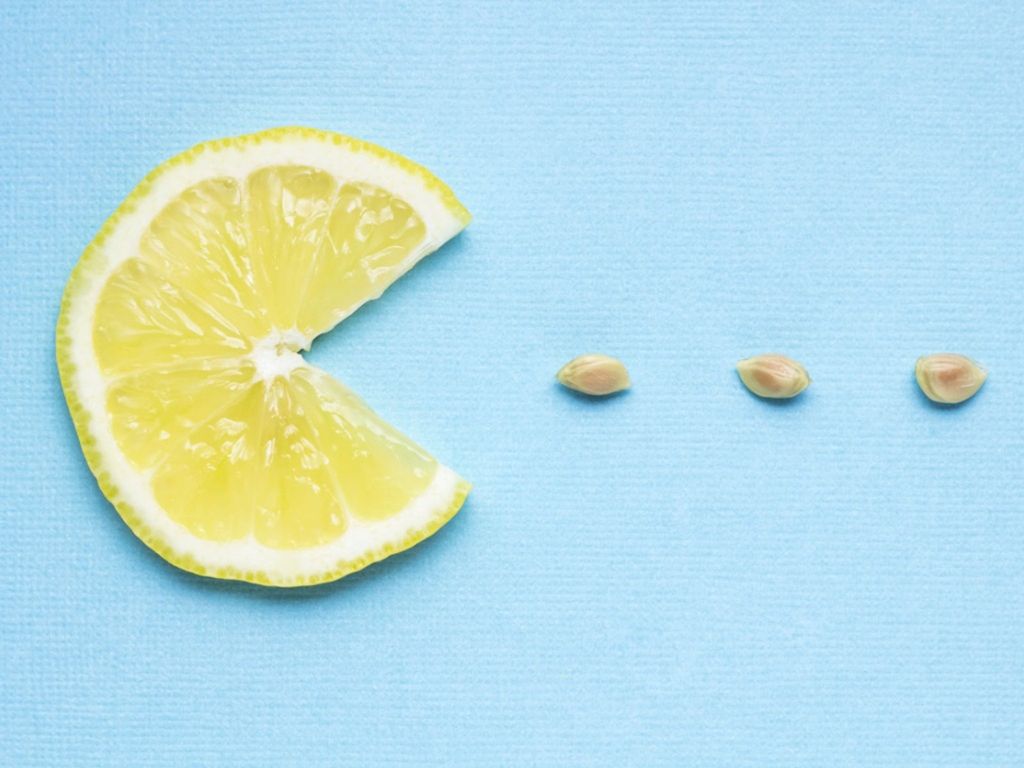 Lemon Seed Propagation - How To Grow Lemon Trees From Seed | Gardening ...