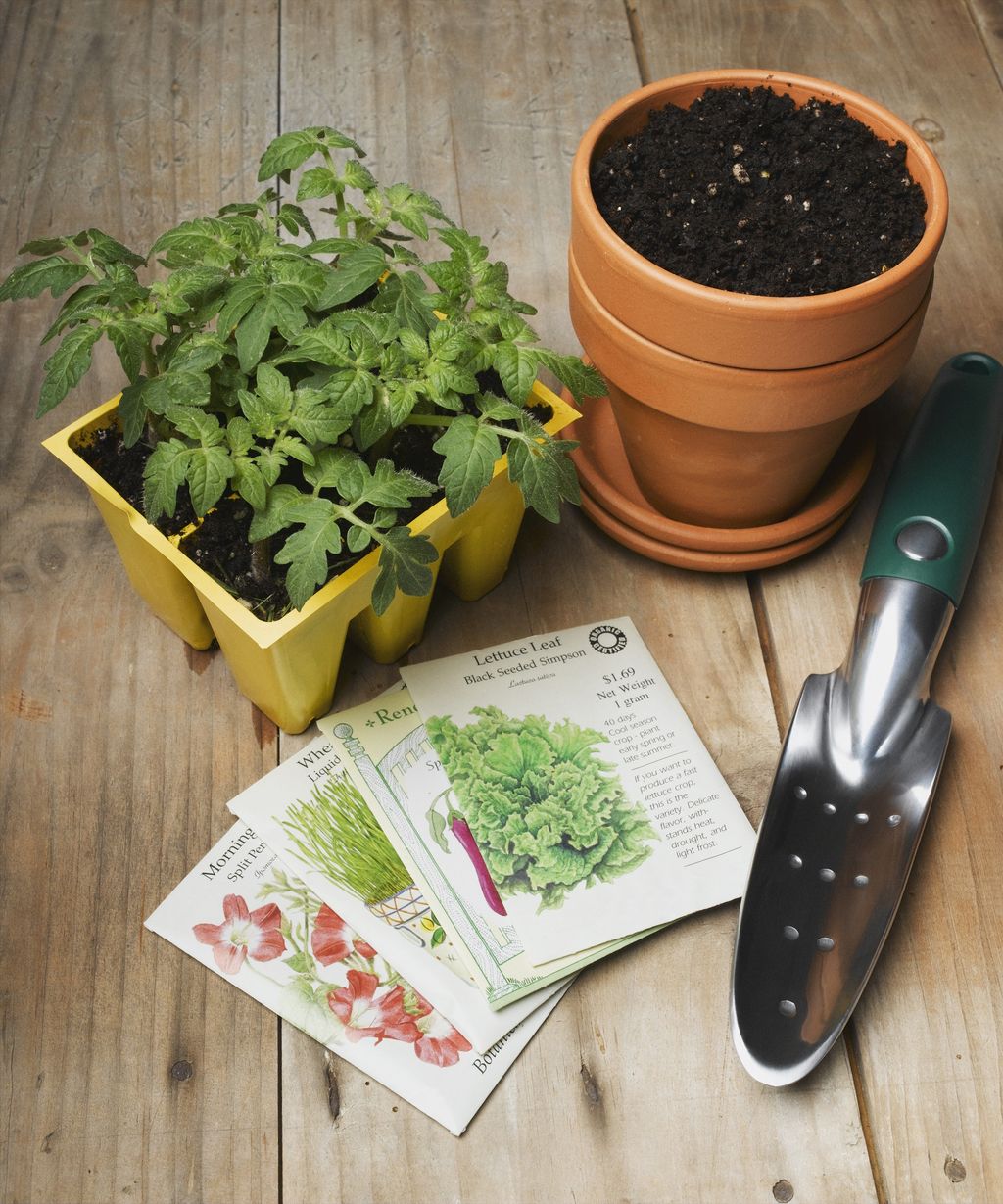 How to get free seeds: 7 budget-friendly ideas | Homes and Gardens