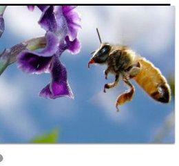 Use JavaScript to chain animations with CSS | Creative Bloq