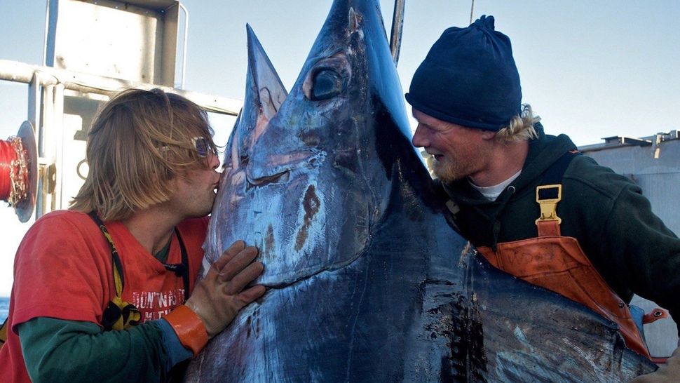 Invincible Entertainment Goes Back To The Future Buying YTA Broadcast ...