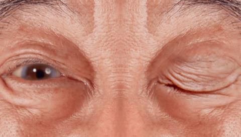 WTF work time fun hands-on | GamesRadar+