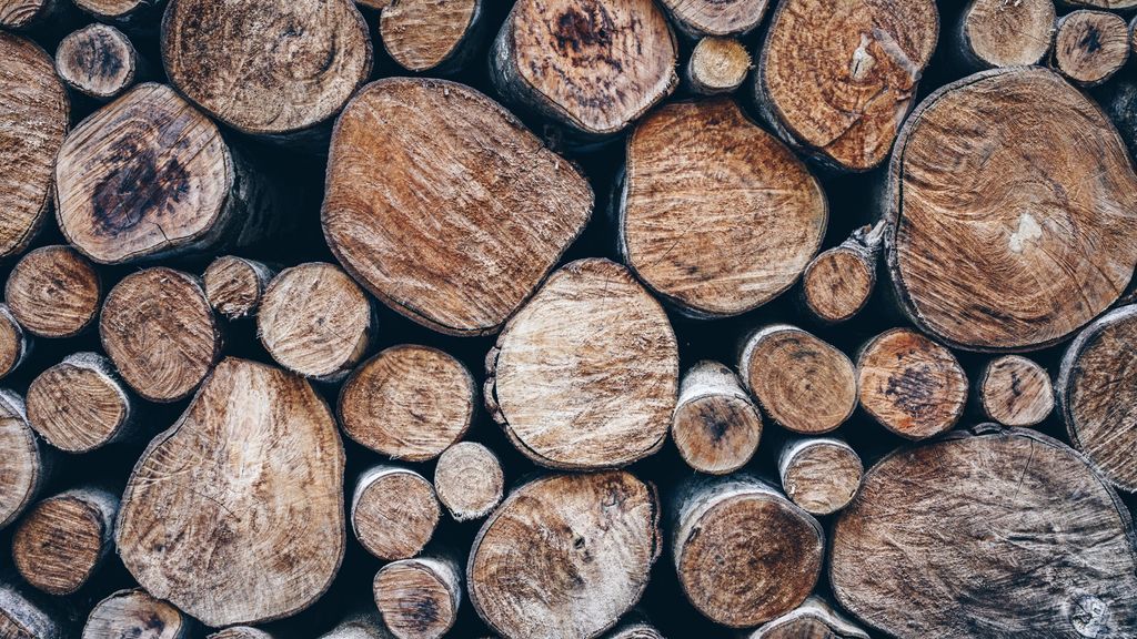 Log store ideas: 9 stylish designs | Homes and Gardens