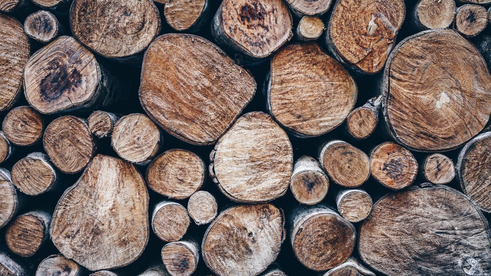 Log store ideas: 9 stylish designs