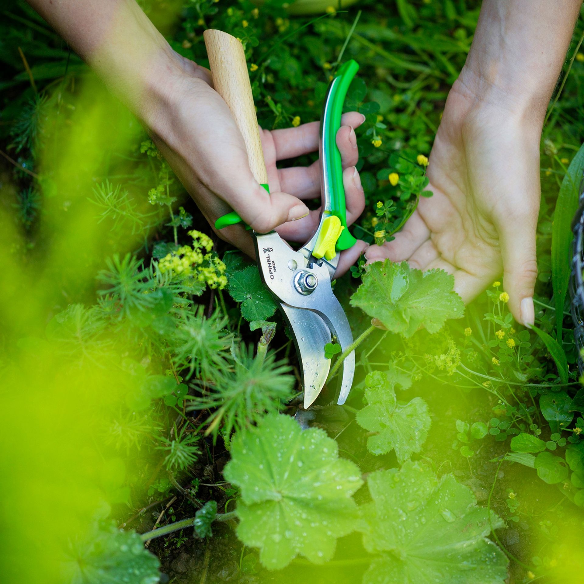 How to sharpen secateurs – streamline pruning | Ideal Home