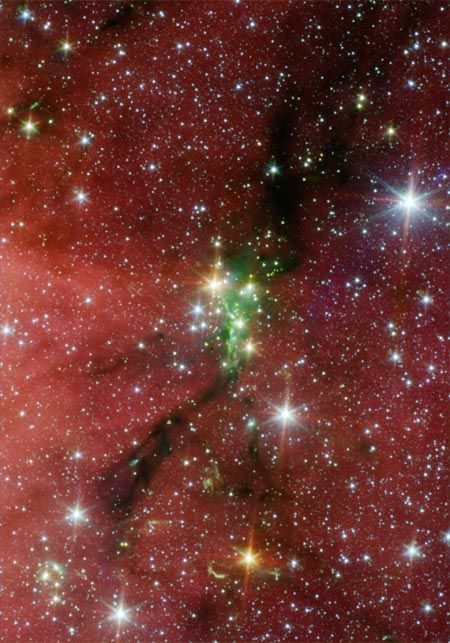 Astronomers Find New Star 'Family' | Space