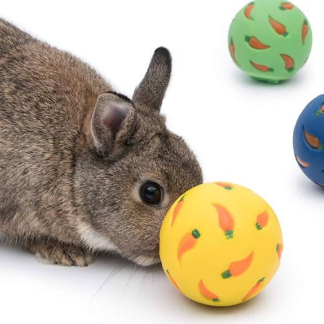 Best rabbit toys: Enrich your bunny's environment | PetsRadar