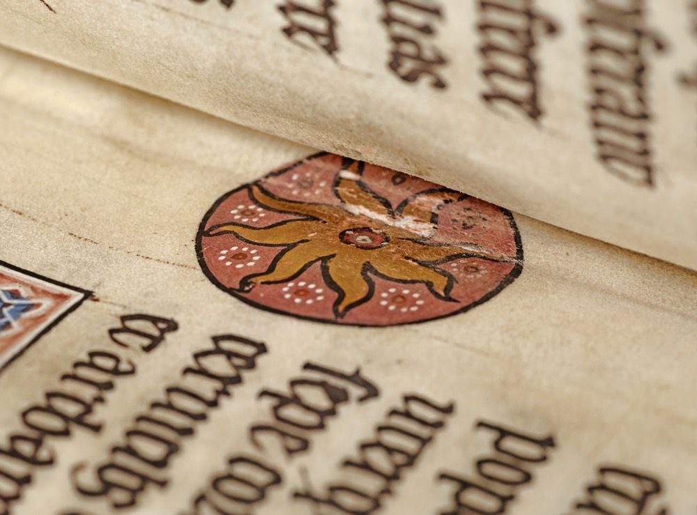 Images: Animal Tales Illuminate the 'Aberdeen Bestiary' | Live Science