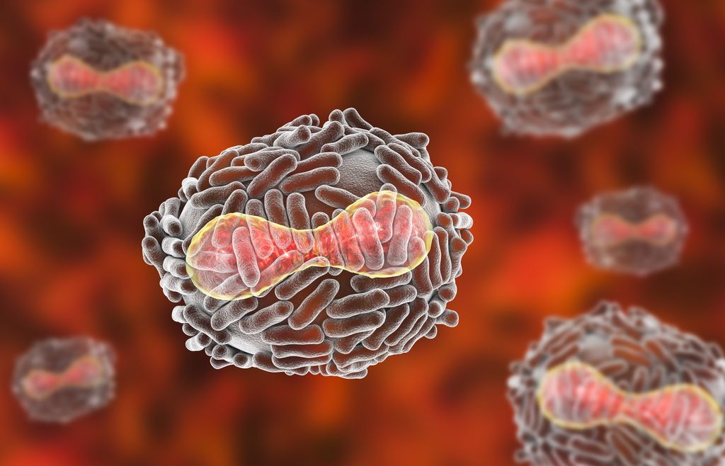 Just 2 Labs in the World House Smallpox. The One in Russia Had an ...