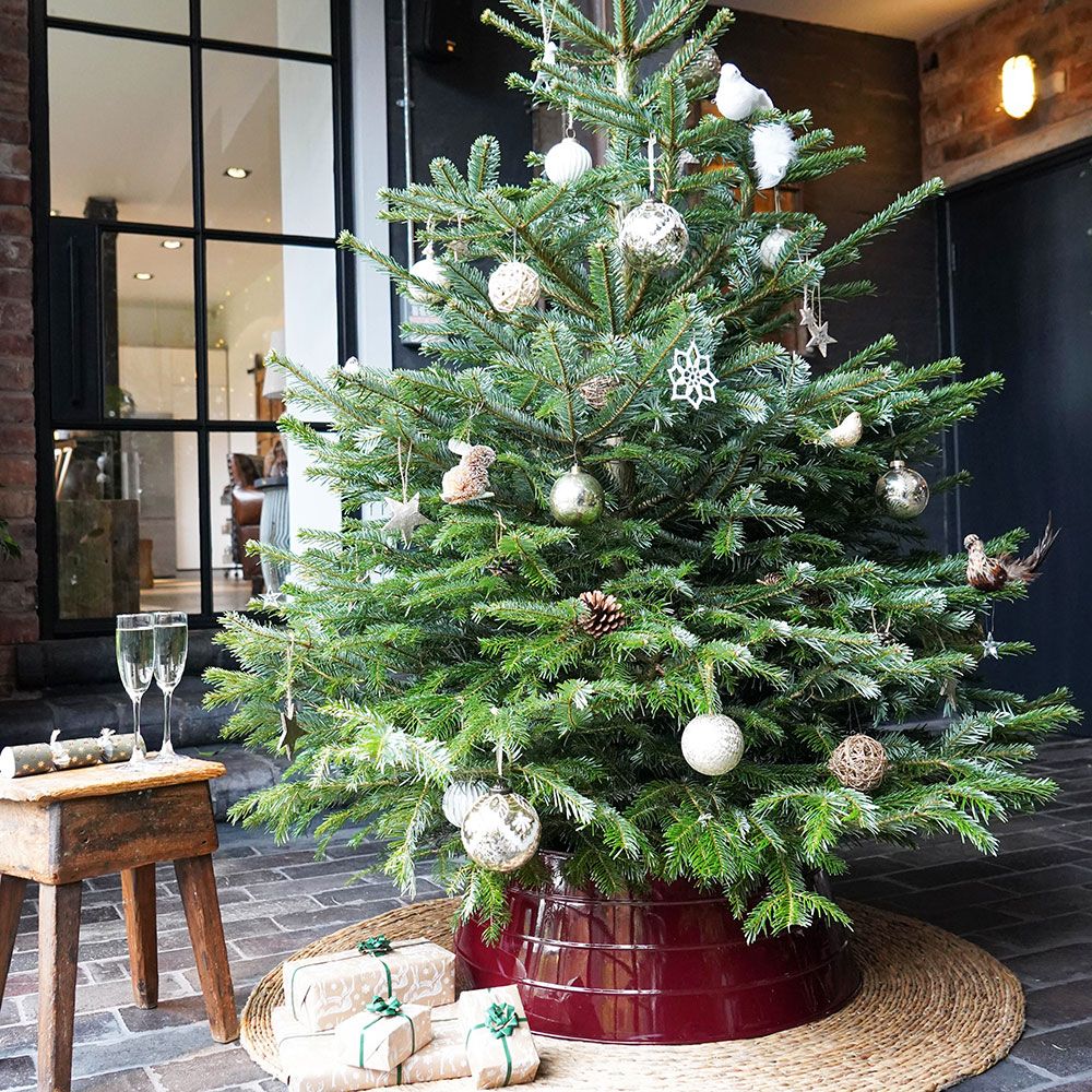 Real Christmas tree care guide – expert-approved tips | Ideal Home