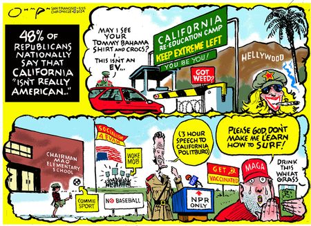 Cartoons: News, analysis and opinion | The Week