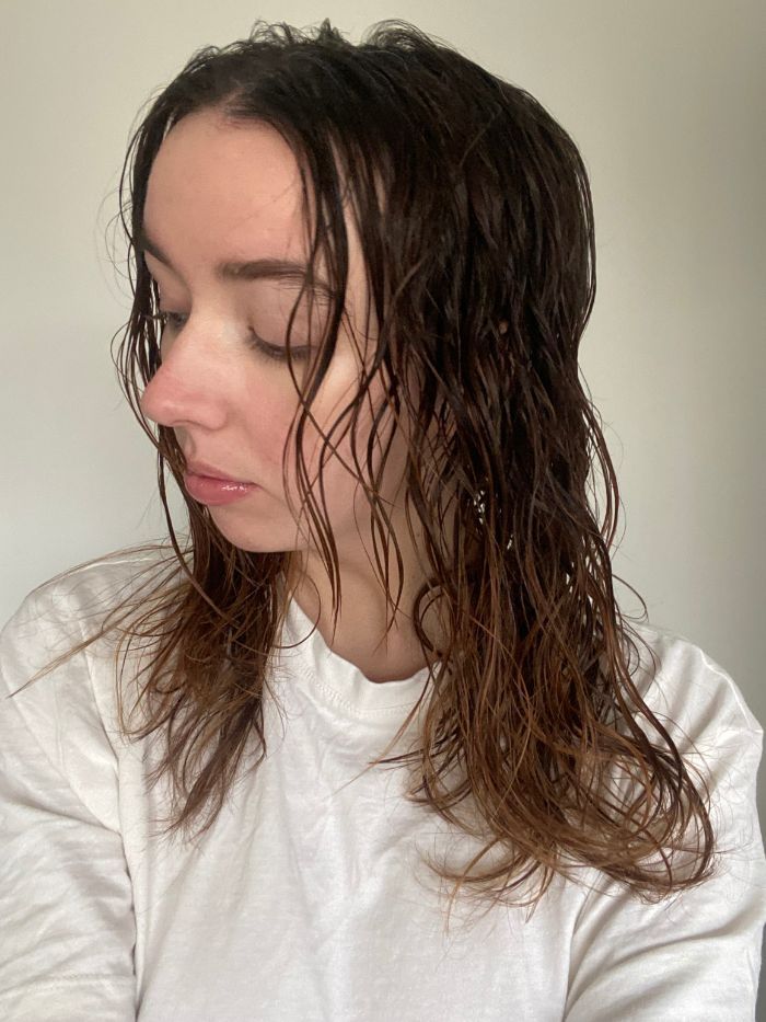 The Best Wet-to-Dry Hair Straighteners, Tried and Tested | Who What Wear