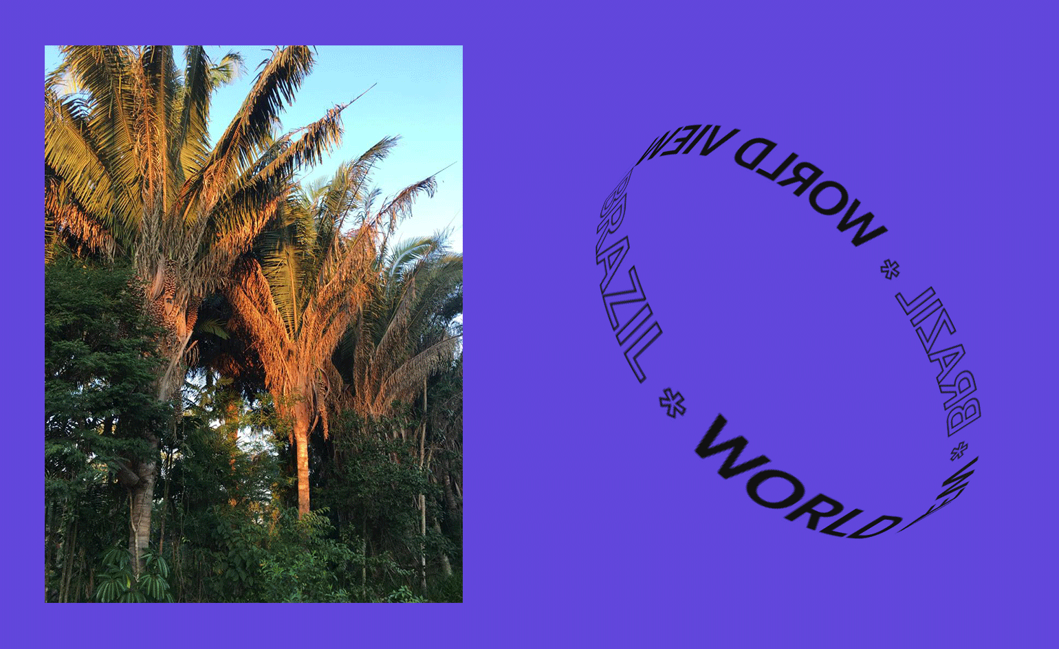 World View: Letter from Brazil and the design industry | Wallpaper