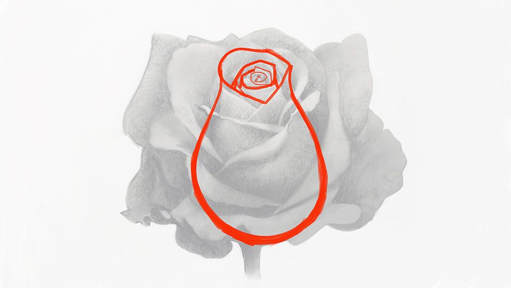 How to draw a rose: Beginner and advanced tips | Creative Bloq