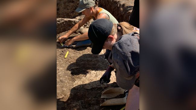 One of Sweden's oldest stone tombs is mysteriously missing skulls ...