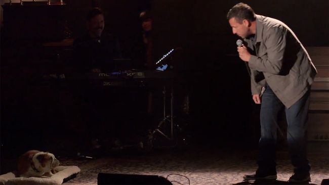 32 Comedy Specials That Both The Critics And Audiences Love | Cinemablend