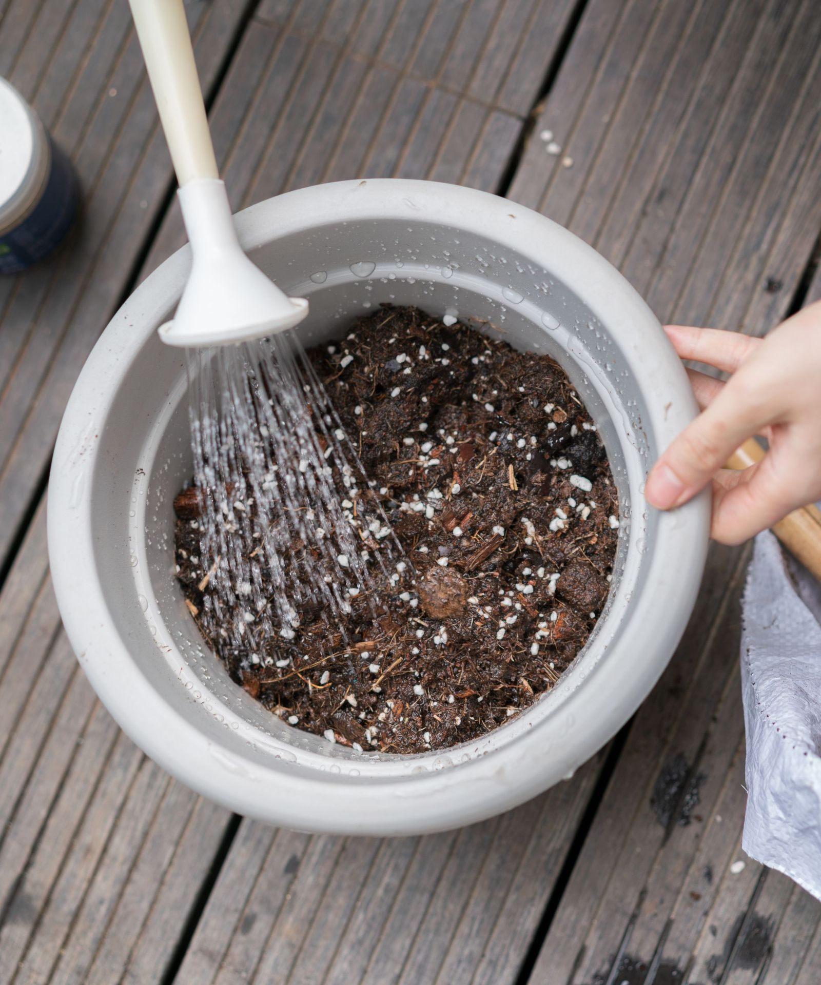 How to make compost — 8 easy steps gardening pros all use | Real Homes