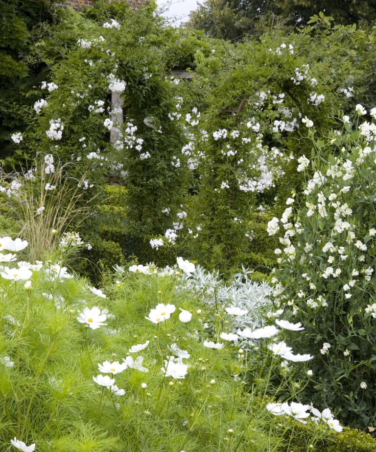 White garden ideas: 10 elegant designs full of shape and texture ...