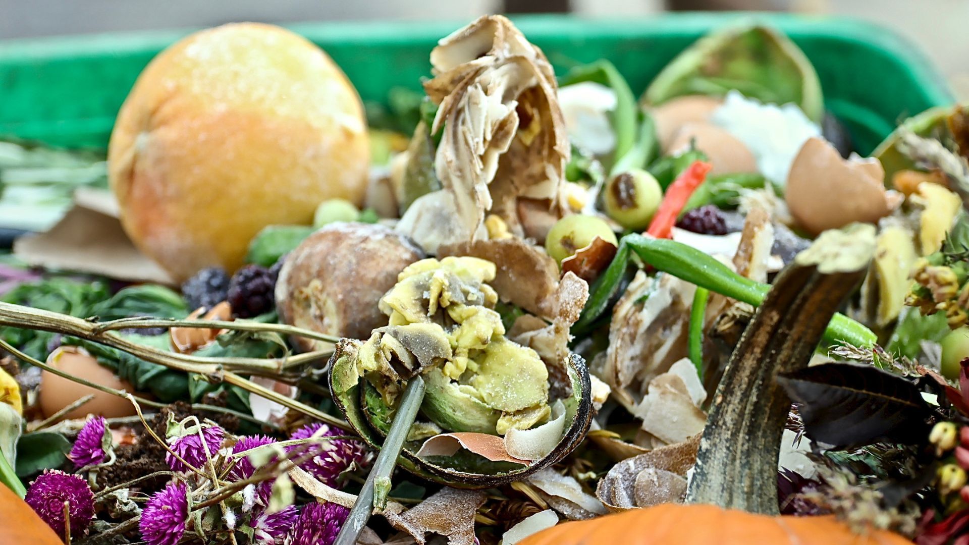 Common composting mistakes to avoid say gardening experts | Woman & Home