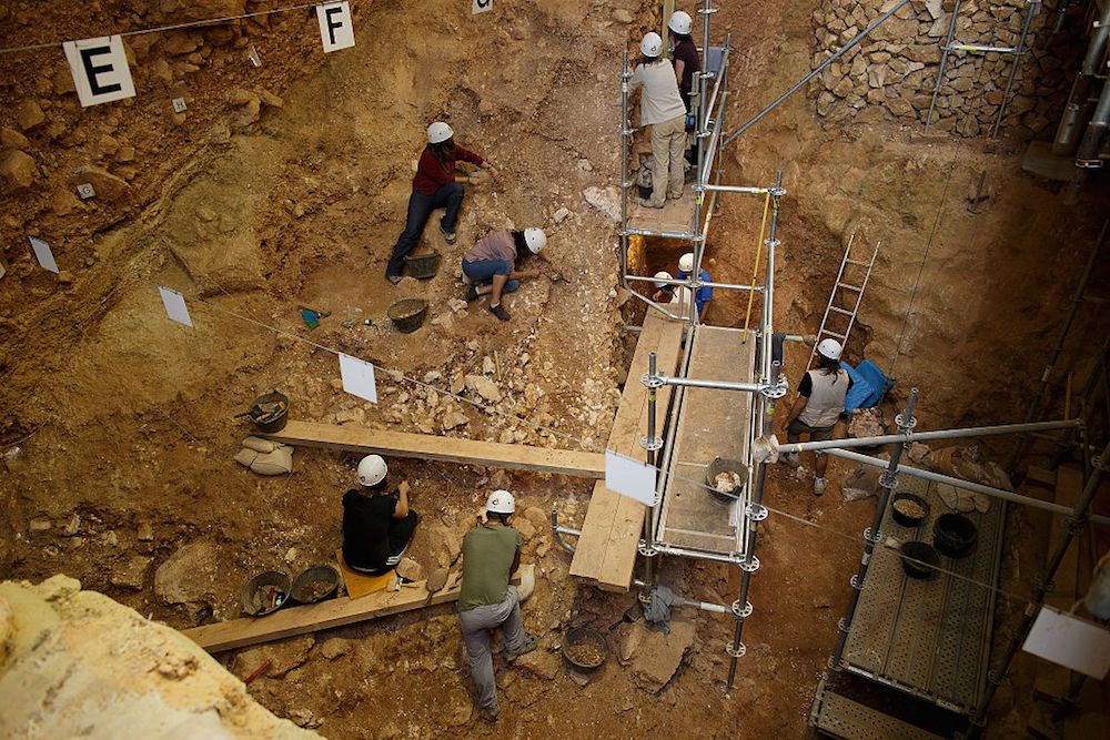 Caveman Diet: Dental Plaque Reveals Earliest Humans Didn't Cook | Live ...