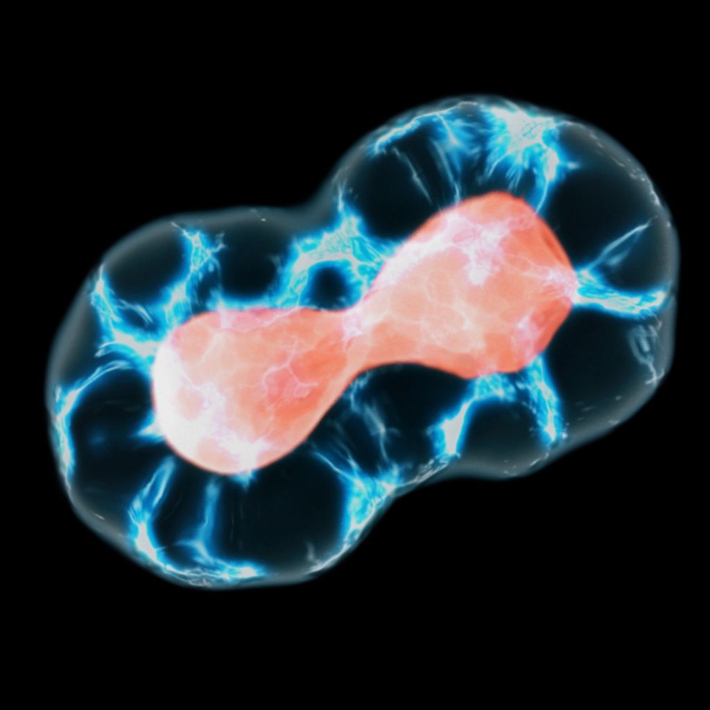 What Is Meiosis? | Live Science