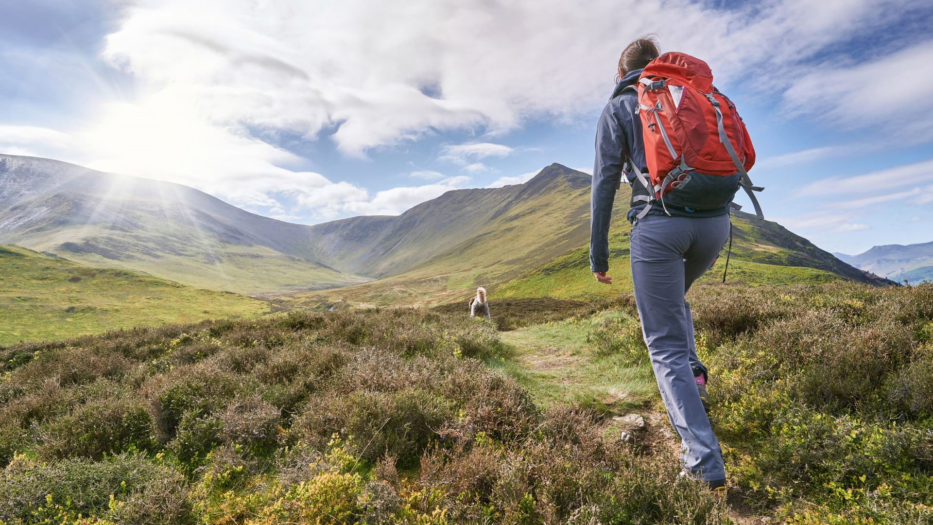 Best hiking backpack: from daypacks to expedition packs | Advnture