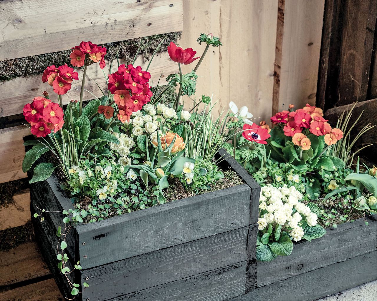 Planter box ideas: 9 inspiring ways to show off your plants | Gardeningetc