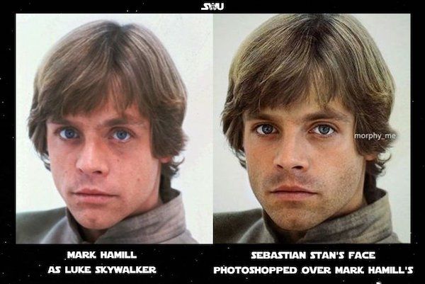 Yes, Sebastian Stan Knows He Looks Like Luke Skywalker, And He'd Love ...