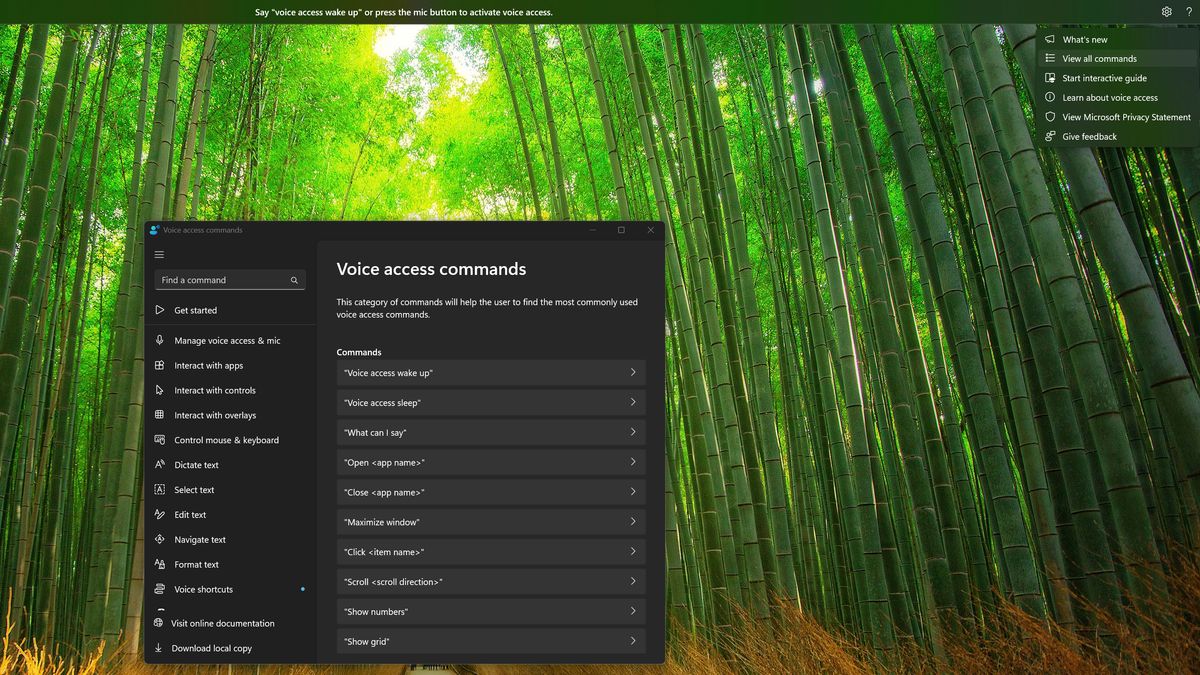 How to use Windows 11 Voice Access | Tom's Guide