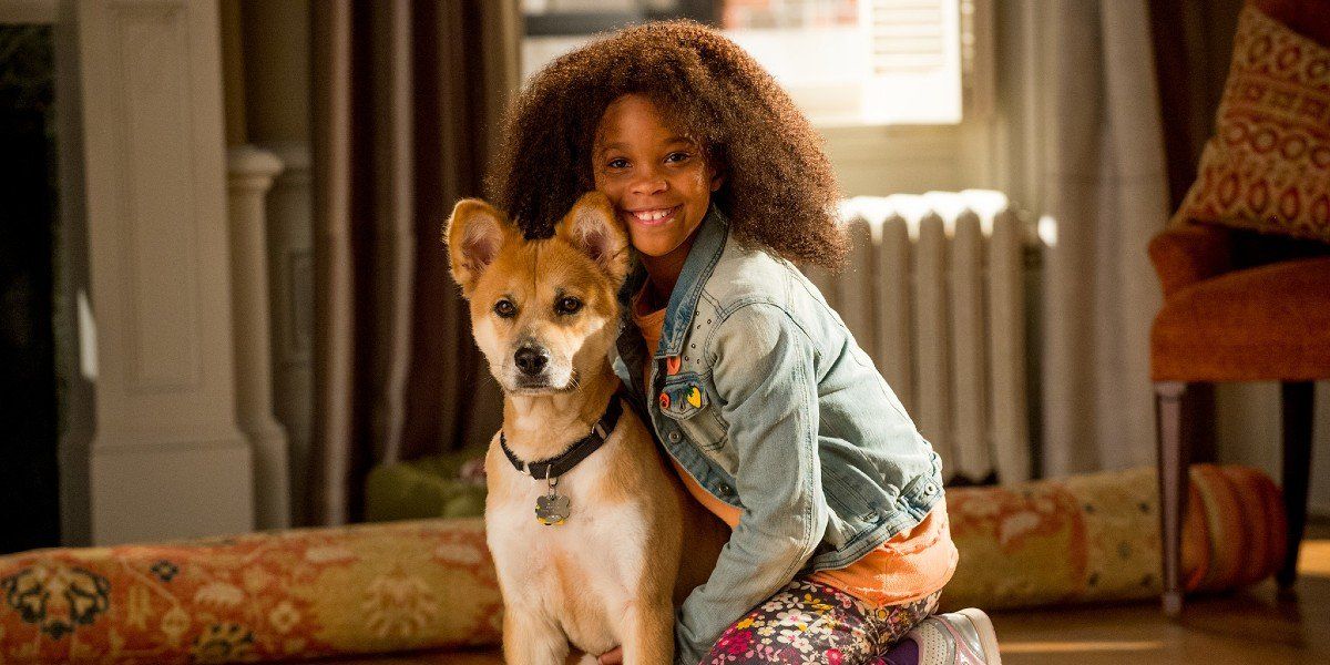 Annie Live: Premiere Date, Cast And Other Things We Know About The NBC ...