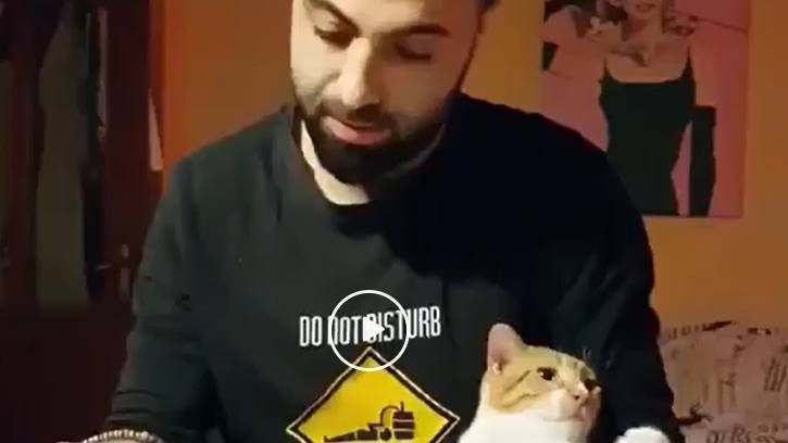 Fevzi the cat can’t help showering love to owner as he plays piano ...