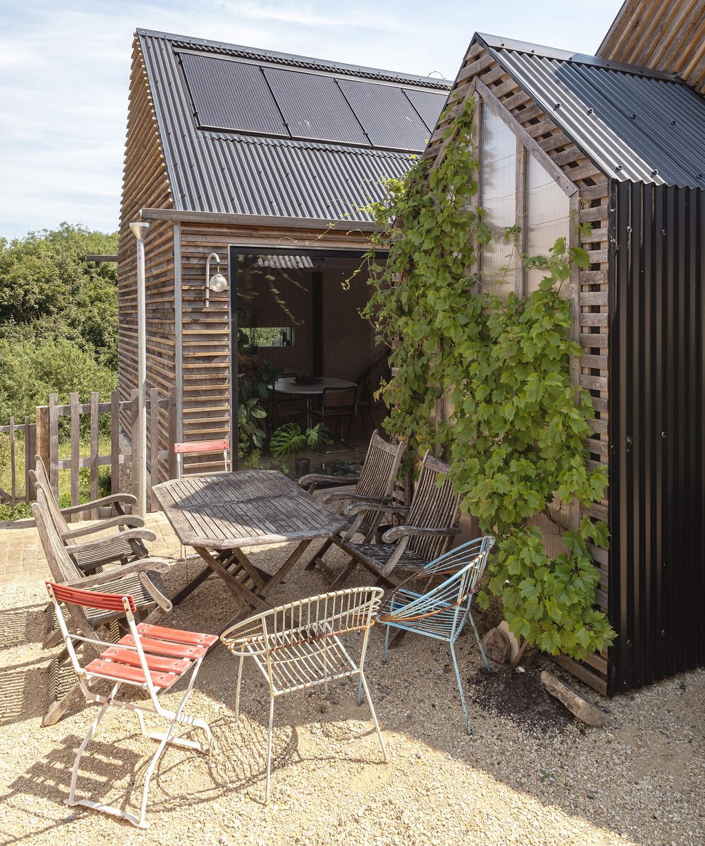 Low maintenance garden ideas for a great space with minimal fuss ...