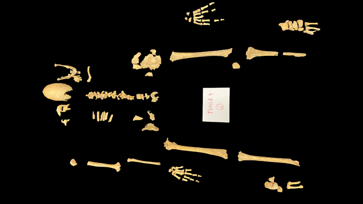 'I had never seen a skull like this before': Medieval Spanish knight ...
