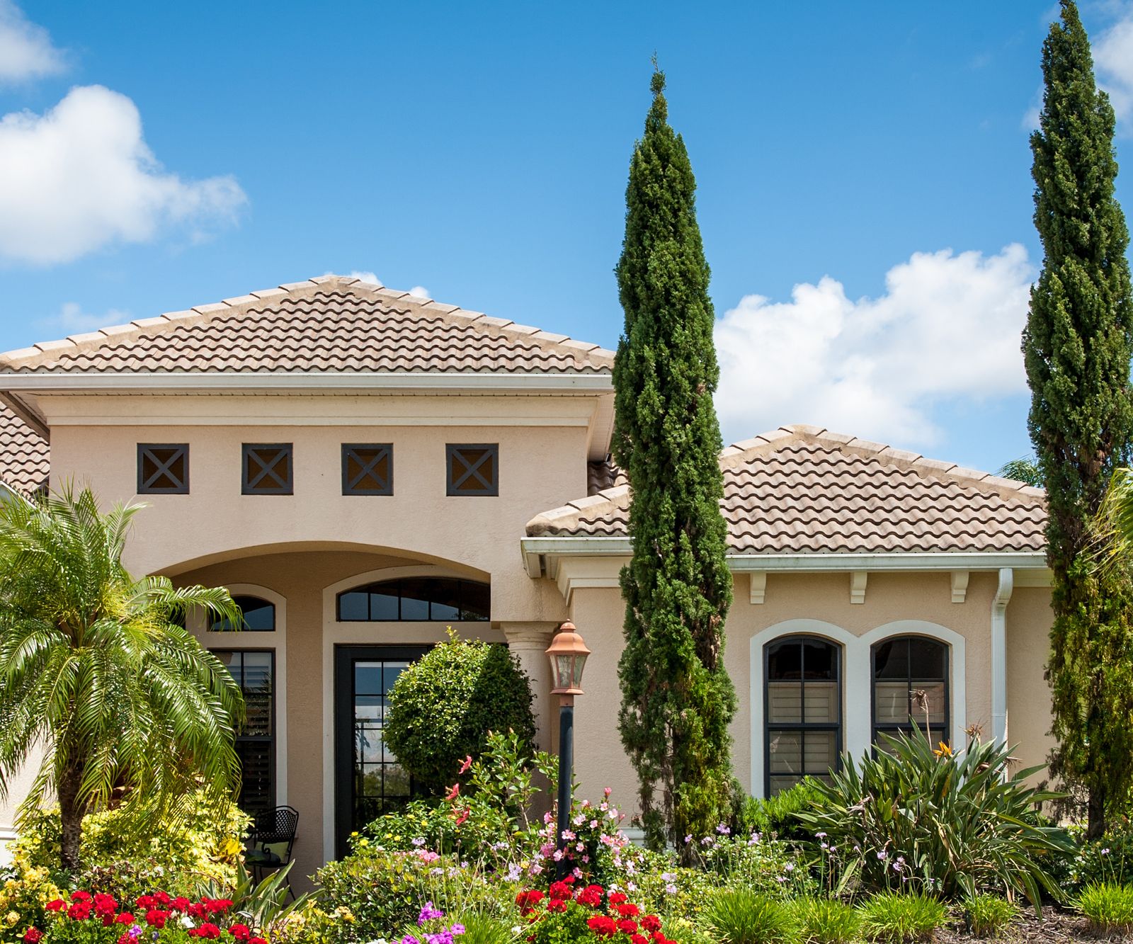 12 of the best statement trees to bring drama to your yard | Homes and ...