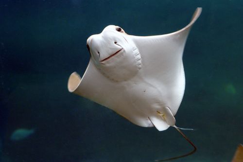 Under the sea: 50 breathtaking images from our oceans | Live Science