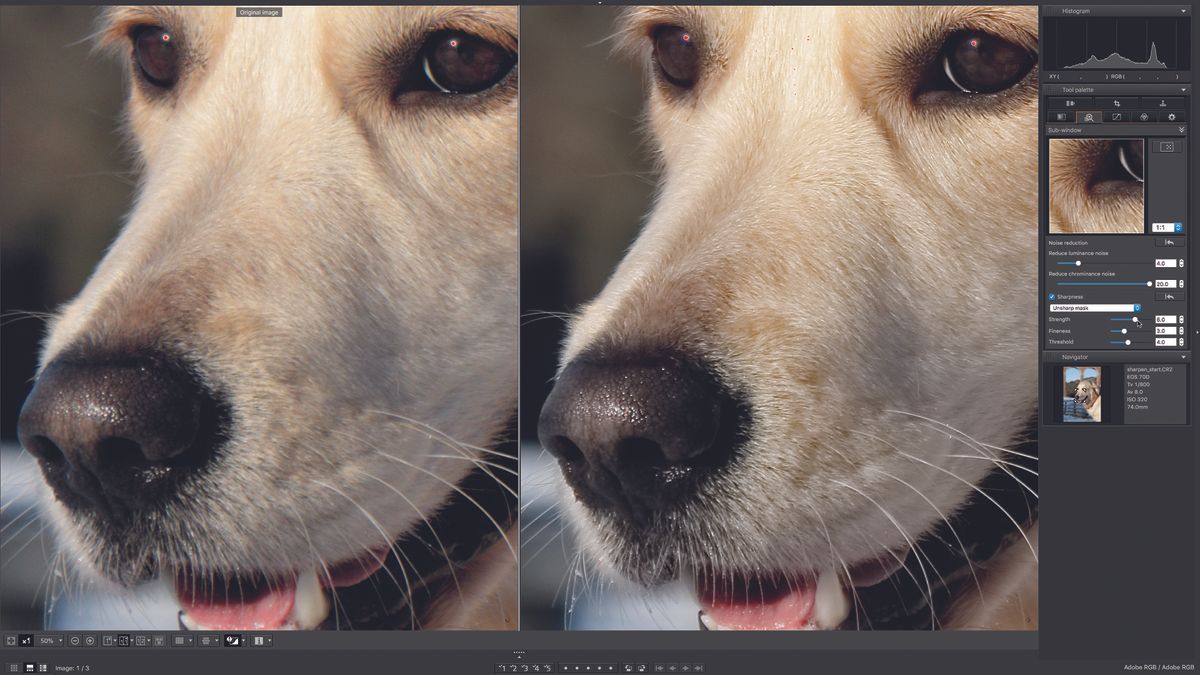 How to use Canon Digital Photo Professional – Canon DPP part 10 ...