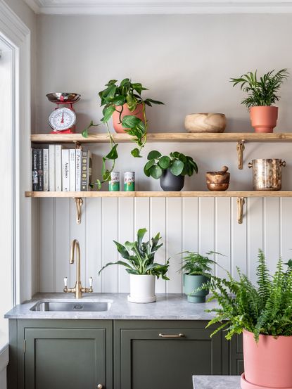 3 expert steps to the perfect plant shelf | Livingetc