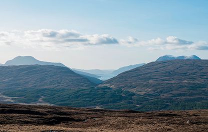 The Glorious 12th: 12 facts about the first day of the grouse shooting ...