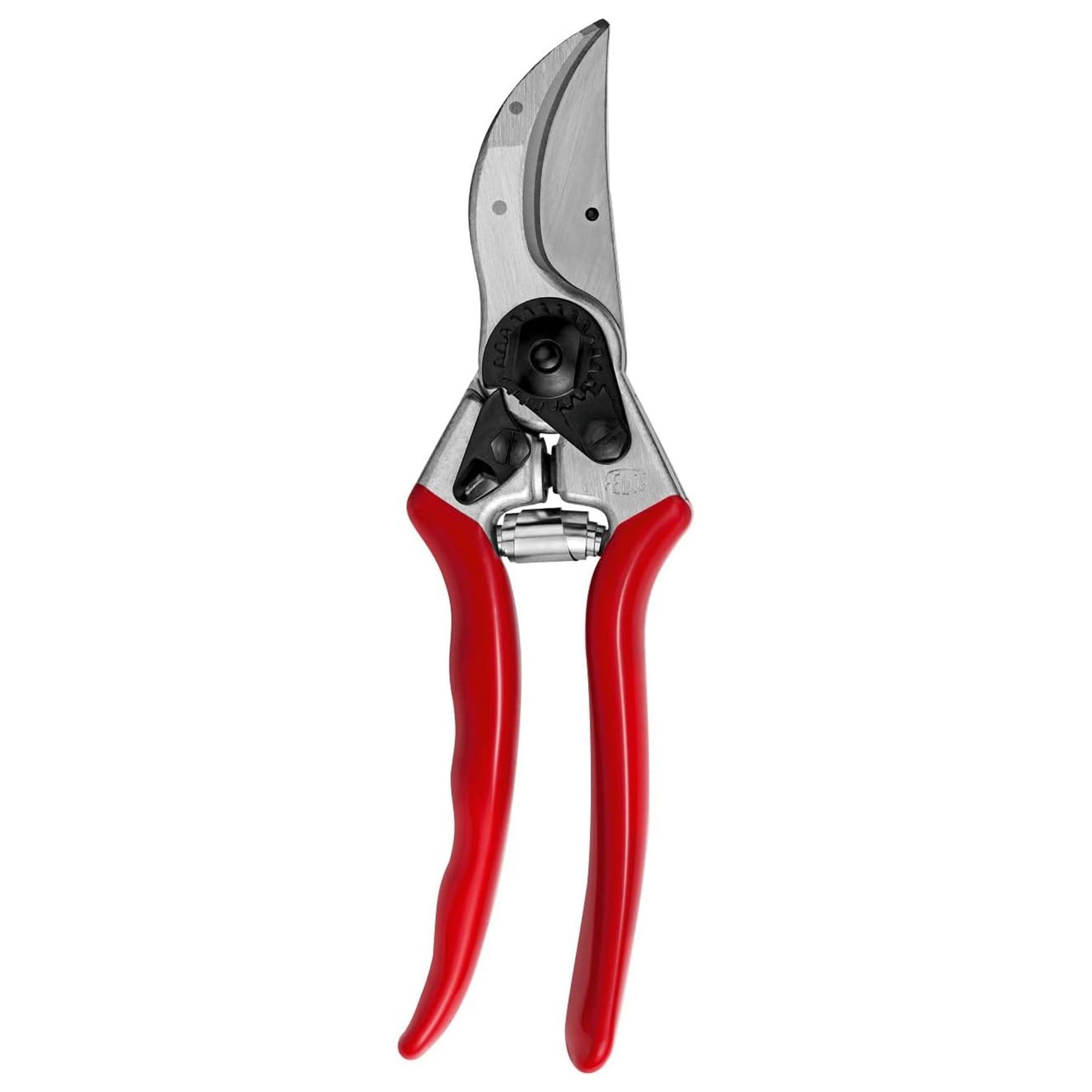 When to prune autumn raspberries for juicy berries | Ideal Home