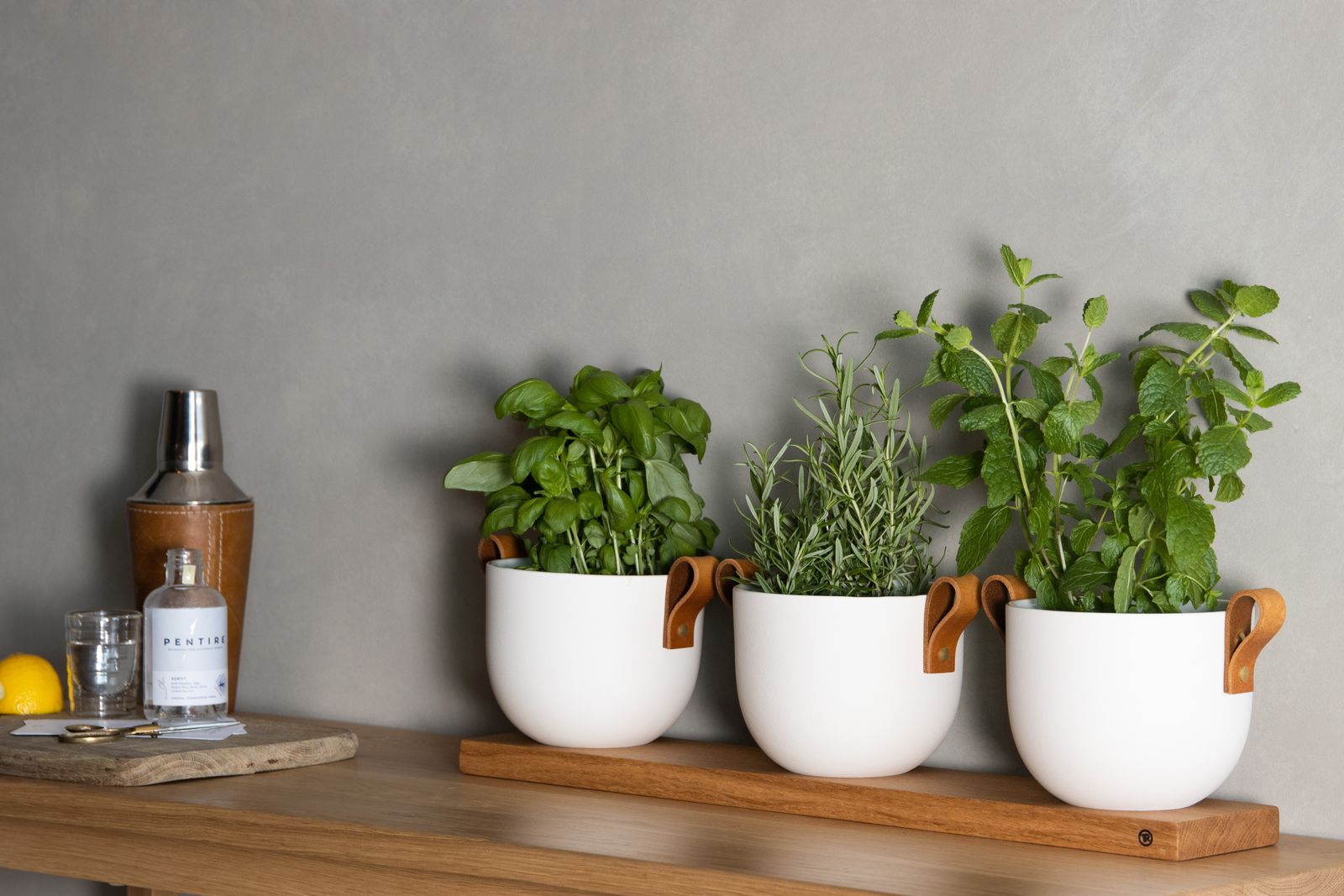 How to plant grocery store herbs | Livingetc