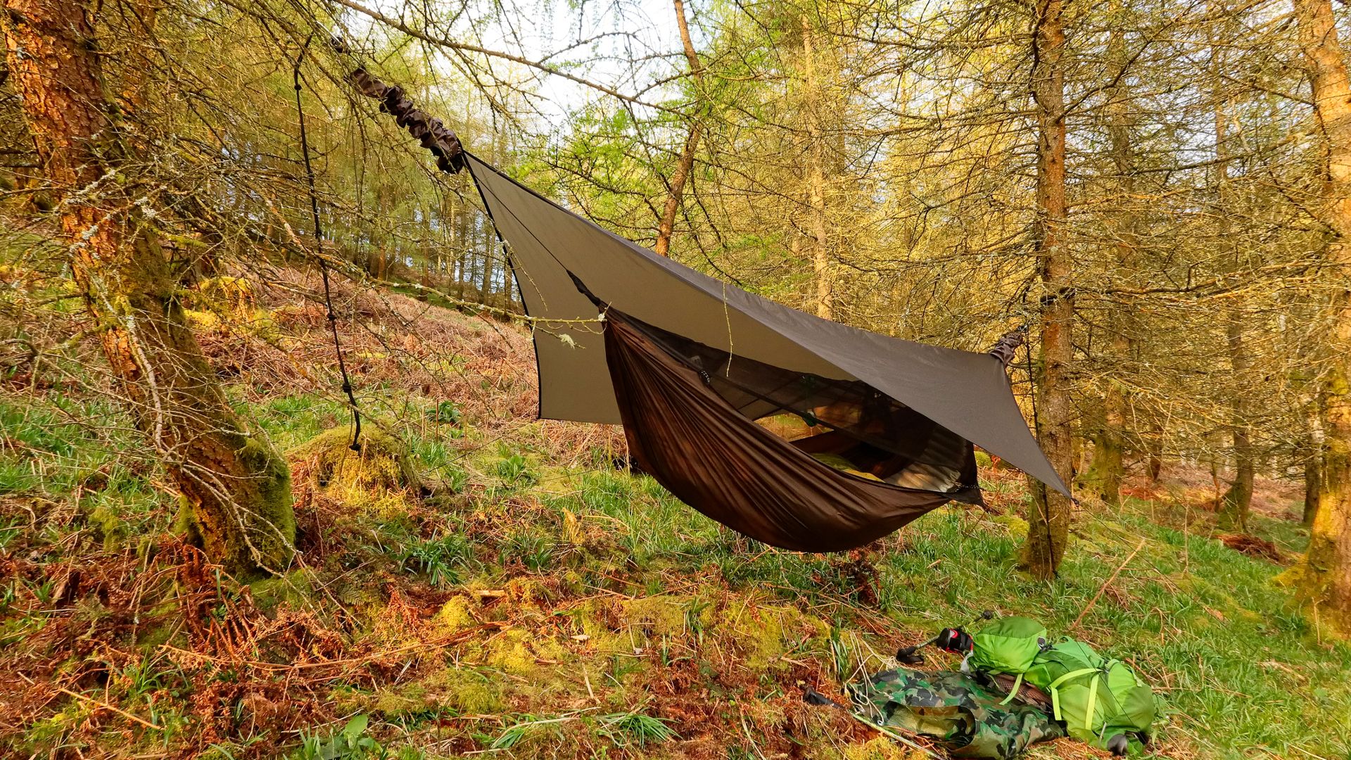 The top 10 uses for a tarp | Advnture