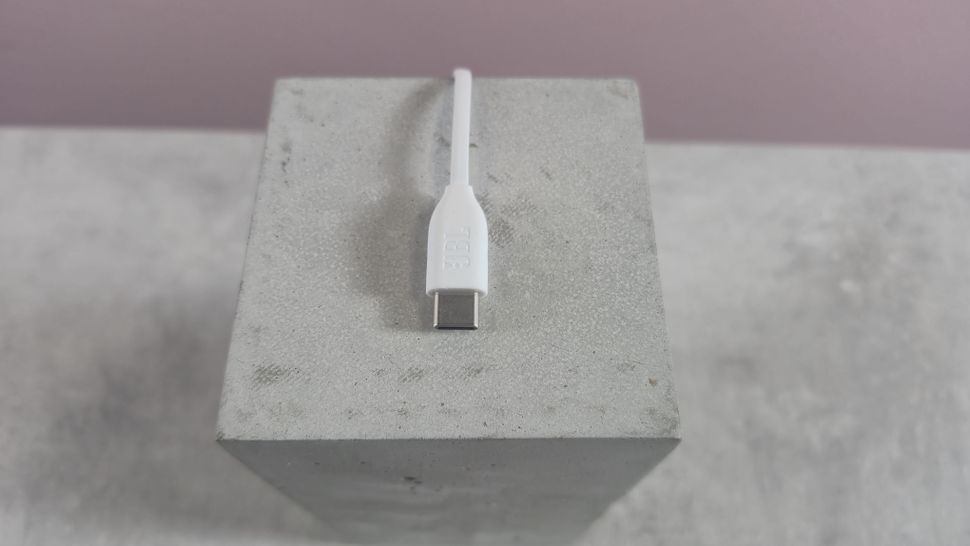 JBL Tune 305C review: temptingly cheap USB-C earbuds, but there's one ...