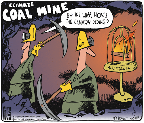 Editorial Cartoon World Australia Bushfires Canary In Coalmine | The Week