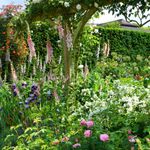 When to sow a clover lawn for a wildlife-friendly garden | Ideal Home