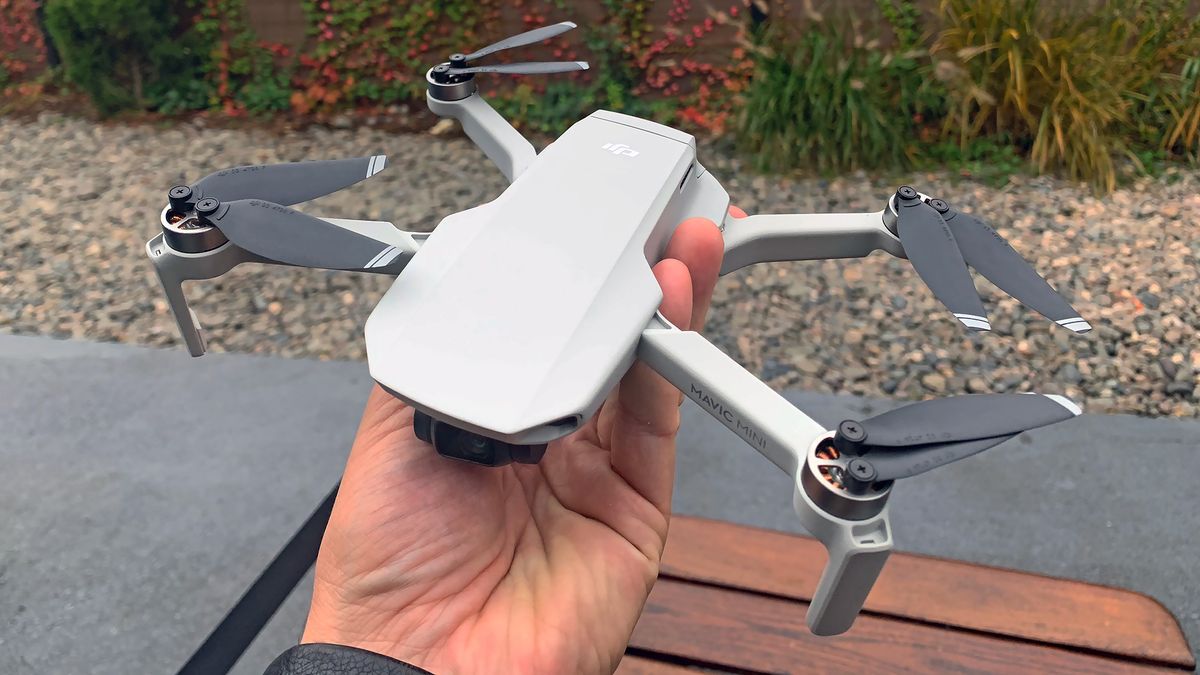 DJI Mavic Mini drone review | Tom's Guide