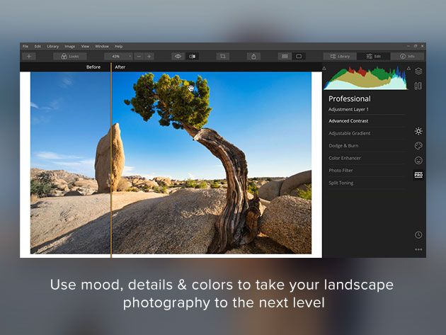 Transform your photos with this software bundle | Creative Bloq