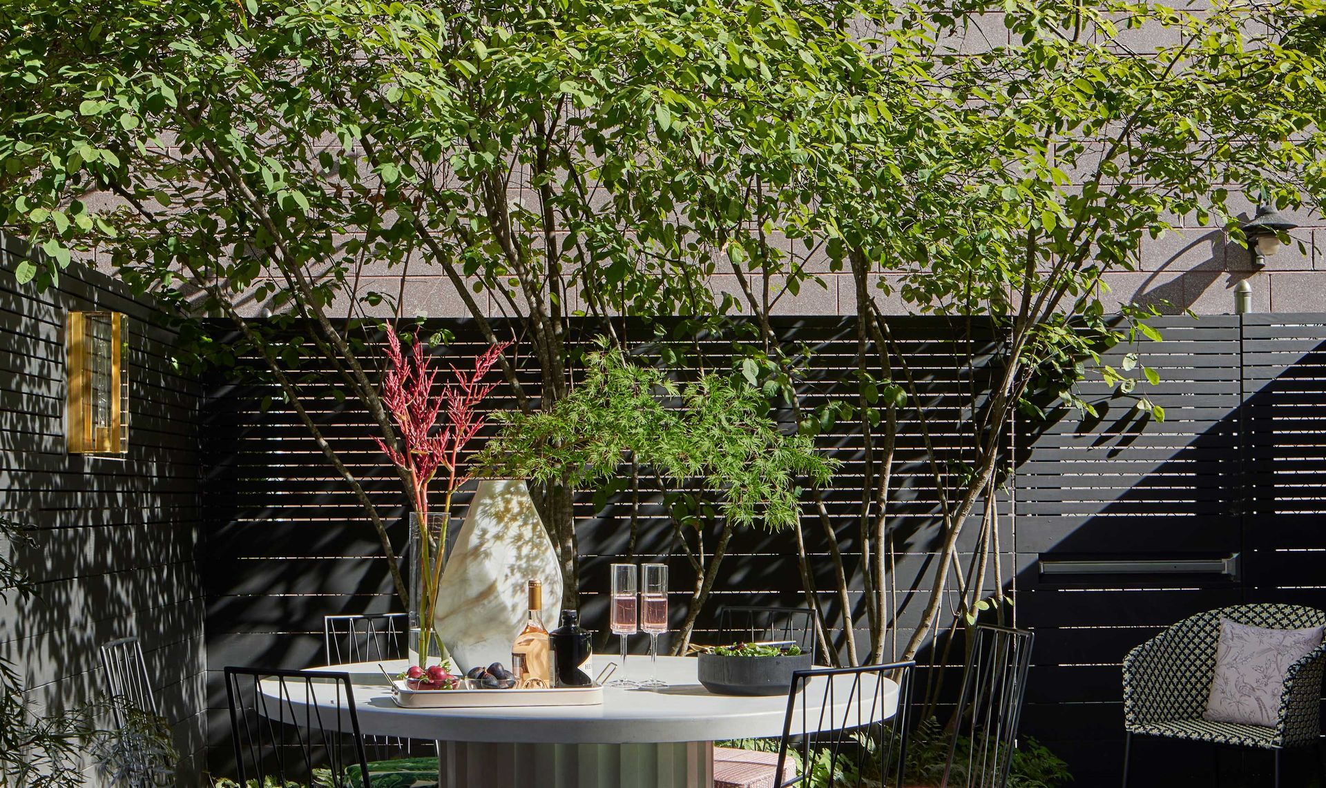 Best trees for privacy – 11 picks to block out neighbors | Livingetc